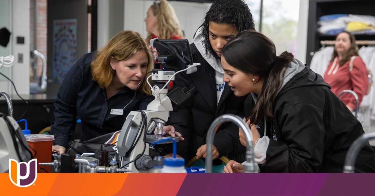 How to Build a Relationship with Your Professors